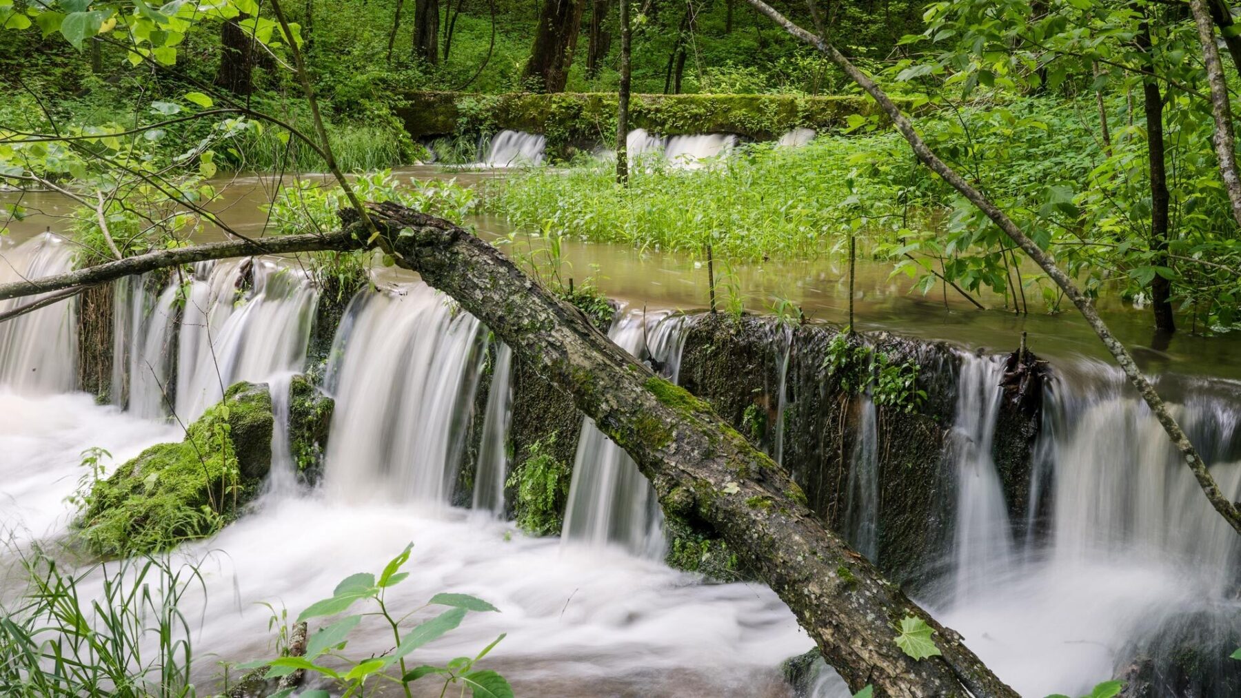 Placemaking Through Philanthropy in Ozark, Missouri - Community ...